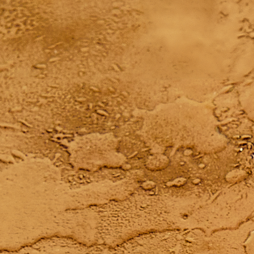 Cloud | Bryan O'Sullivan Studio