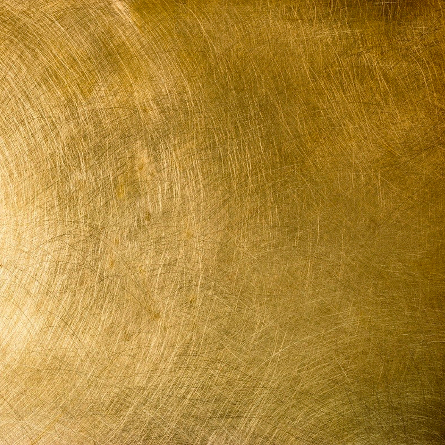 Dandelion | Bryan O'Sullivan Studio