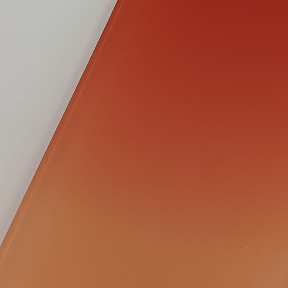 Jellyfish | Bryan O'Sullivan Studio