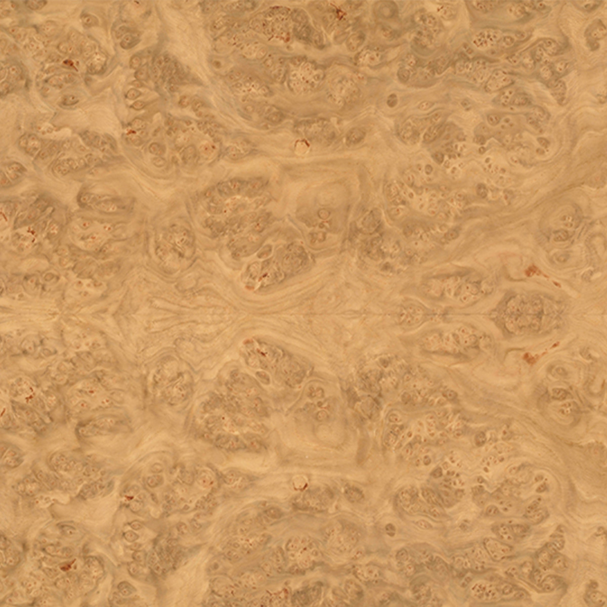 Stamp | Bryan O'Sullivan Studio