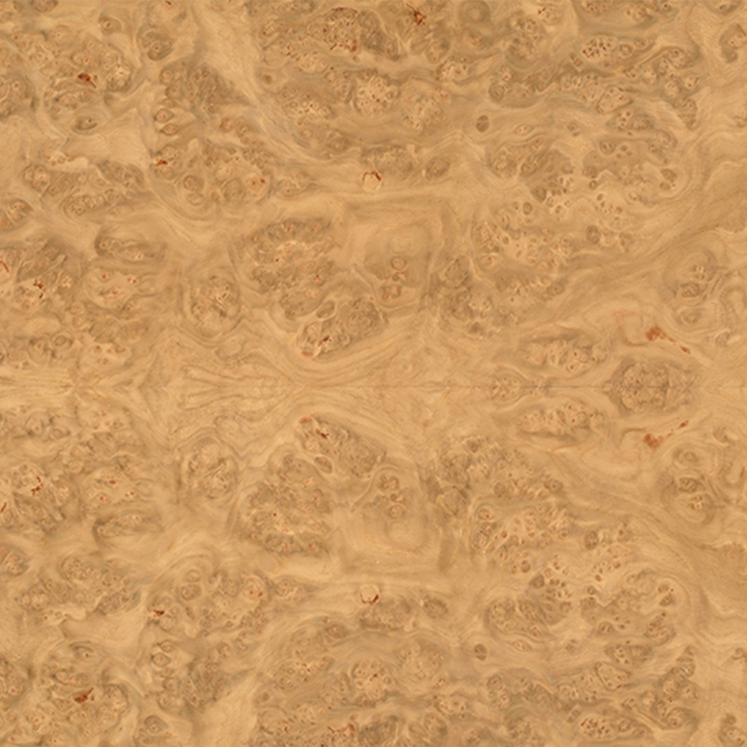 Stamp | Bryan O'Sullivan Studio